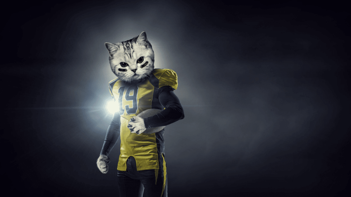 How To Become A Sports Mascot – JobsinSports.com