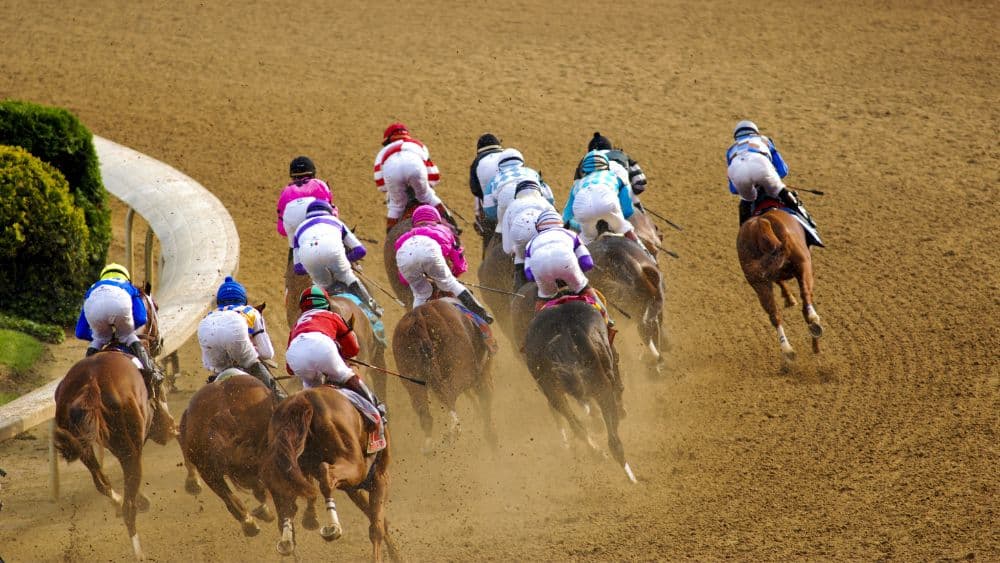 Top 15 Kentucky Derby Jobs You Should Be Aware Of - JobsInSports Blog